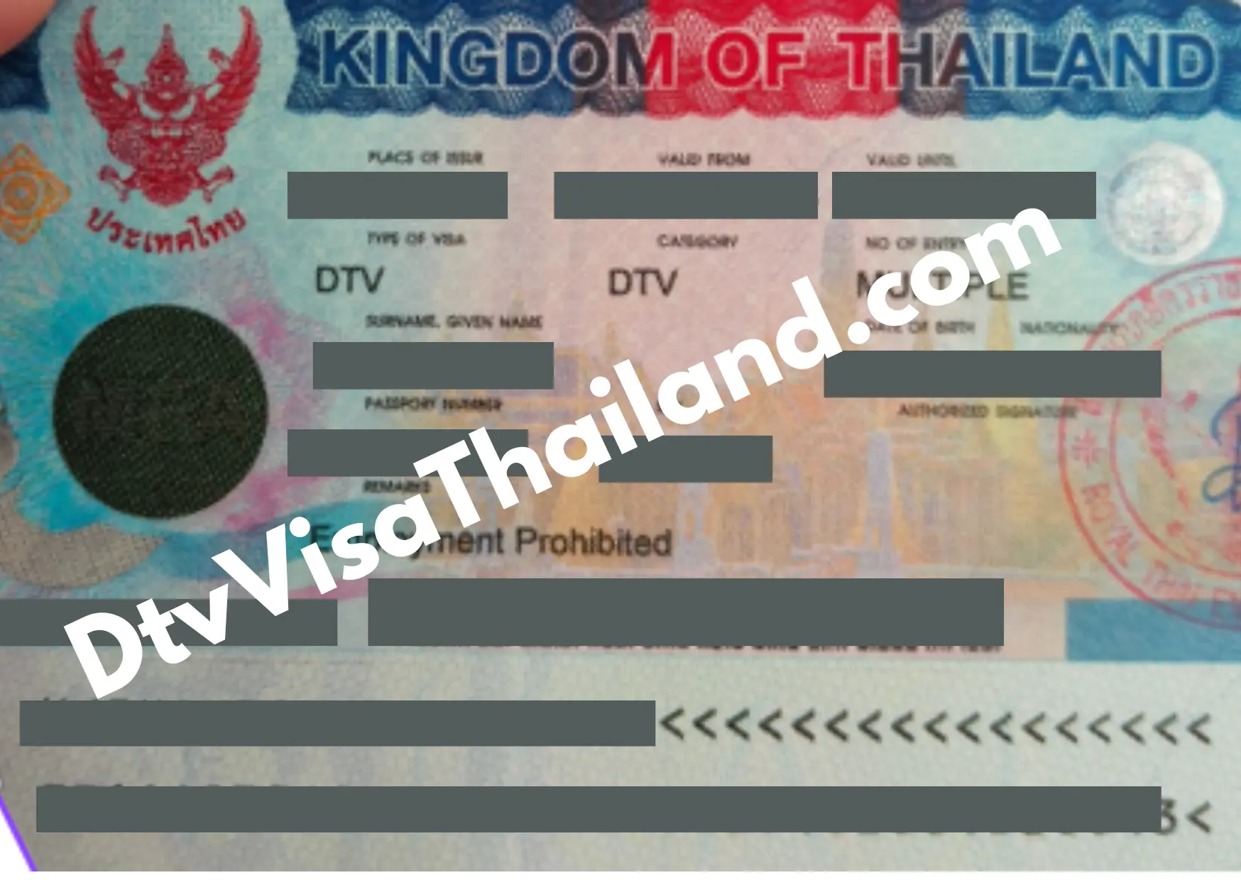 如何申请DTV签证 | 獲得DTV簽證的5個步驟 | 這篇文章易於理解